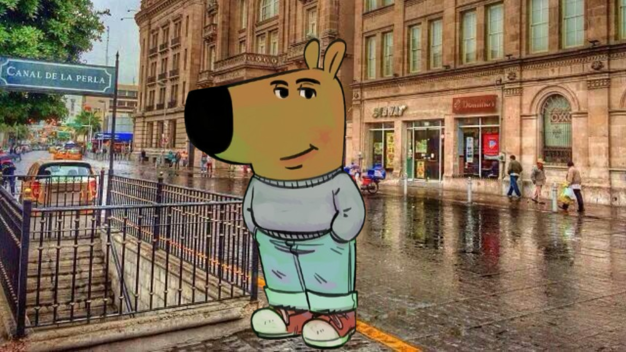 Chill Guy: cuál es el origen del meme del perro tranquilo