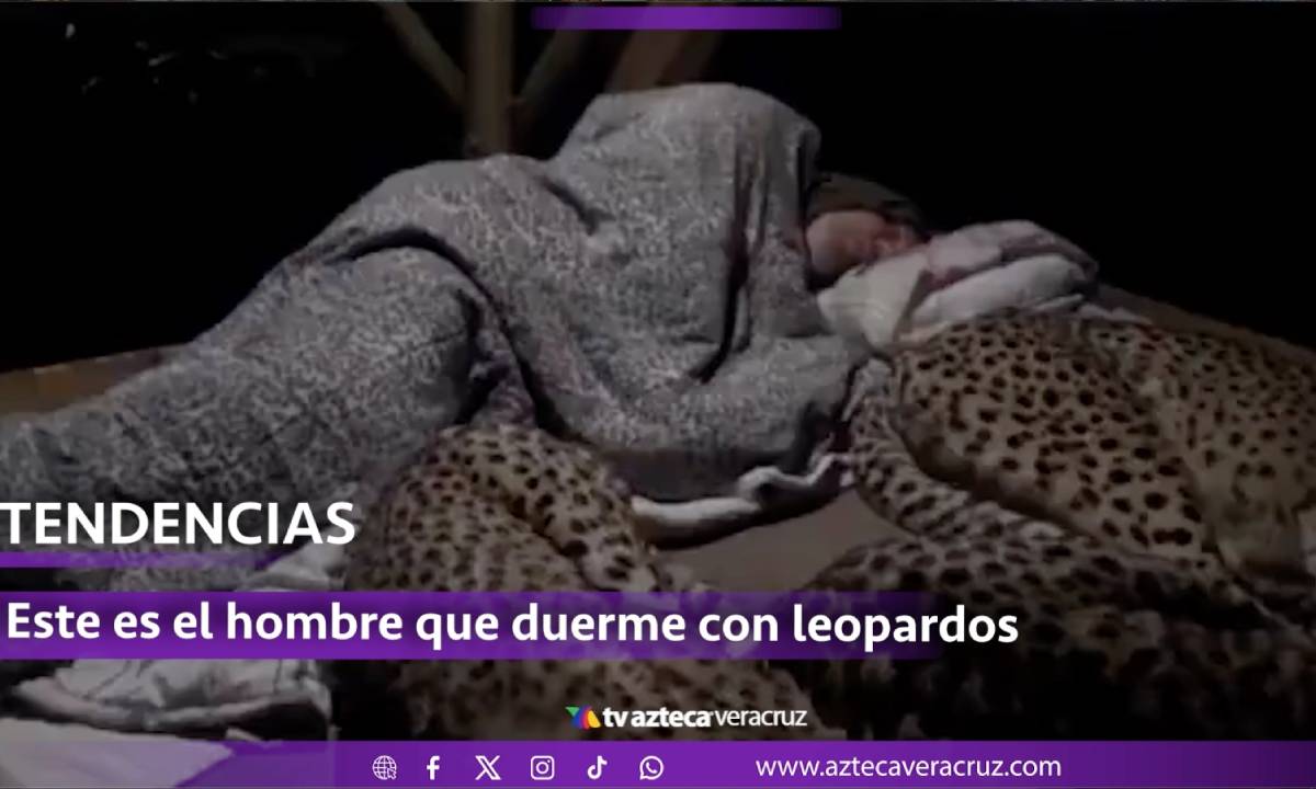 Captan a guardabosques durmiendo junto a 3 leopardos