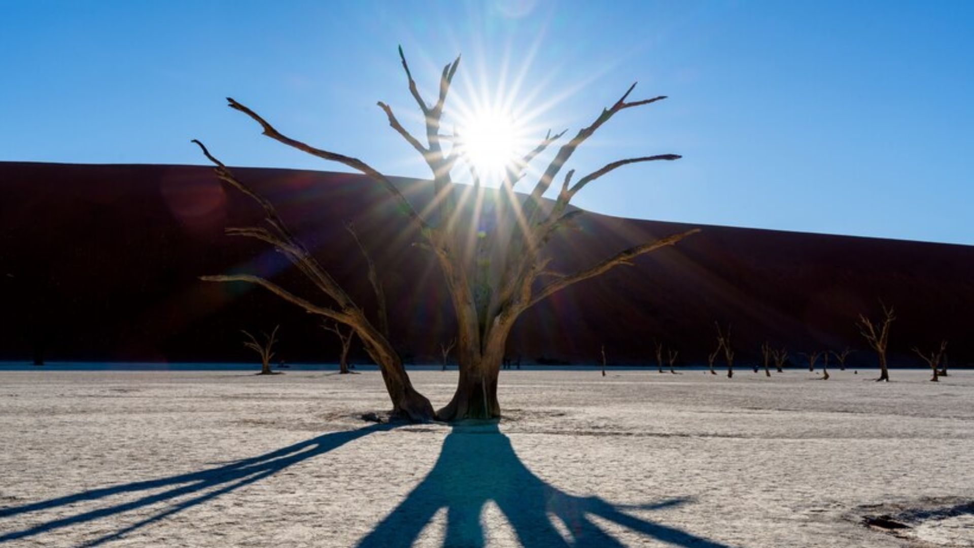 Clima en Querétaro hoy 4 de mayo: temperaturas máximas y la ...
