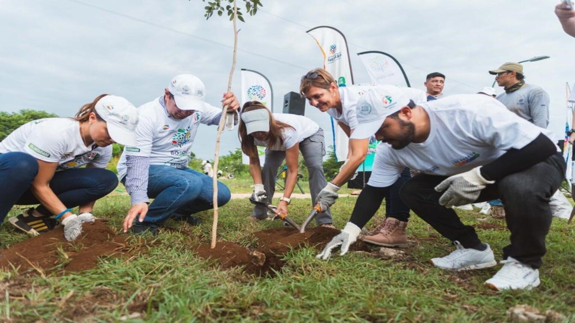 3 acciones para impulsar la conservación del medio ambiente