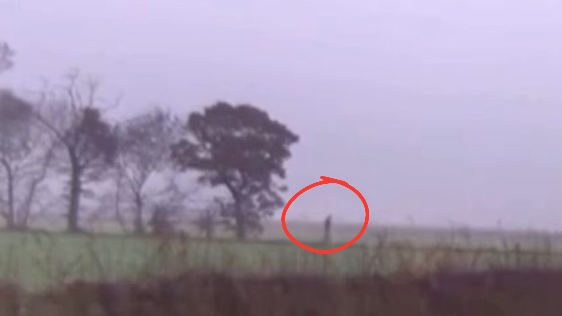 Slender Man en video grabado por niño en bicicleta