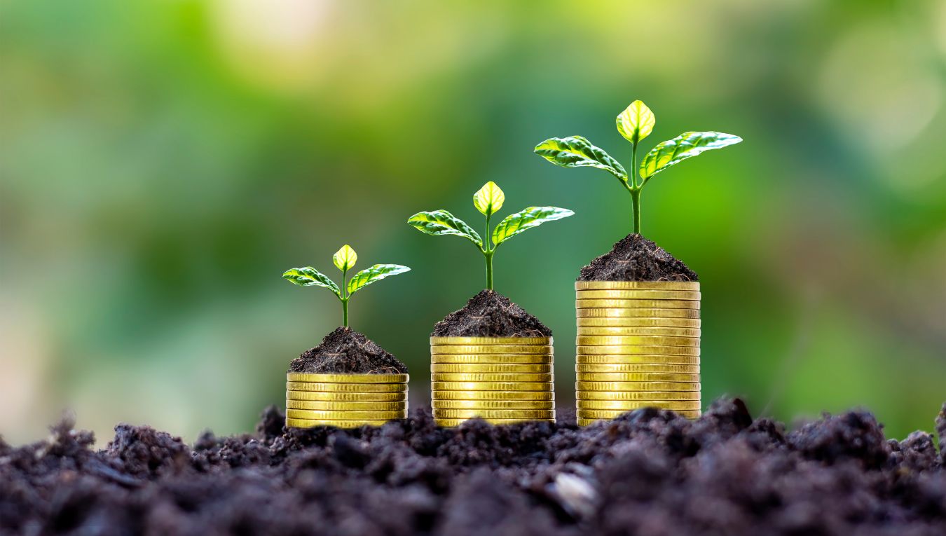 Zodiaco: Los signos que aumentarán su riqueza antes del 15 de agosto