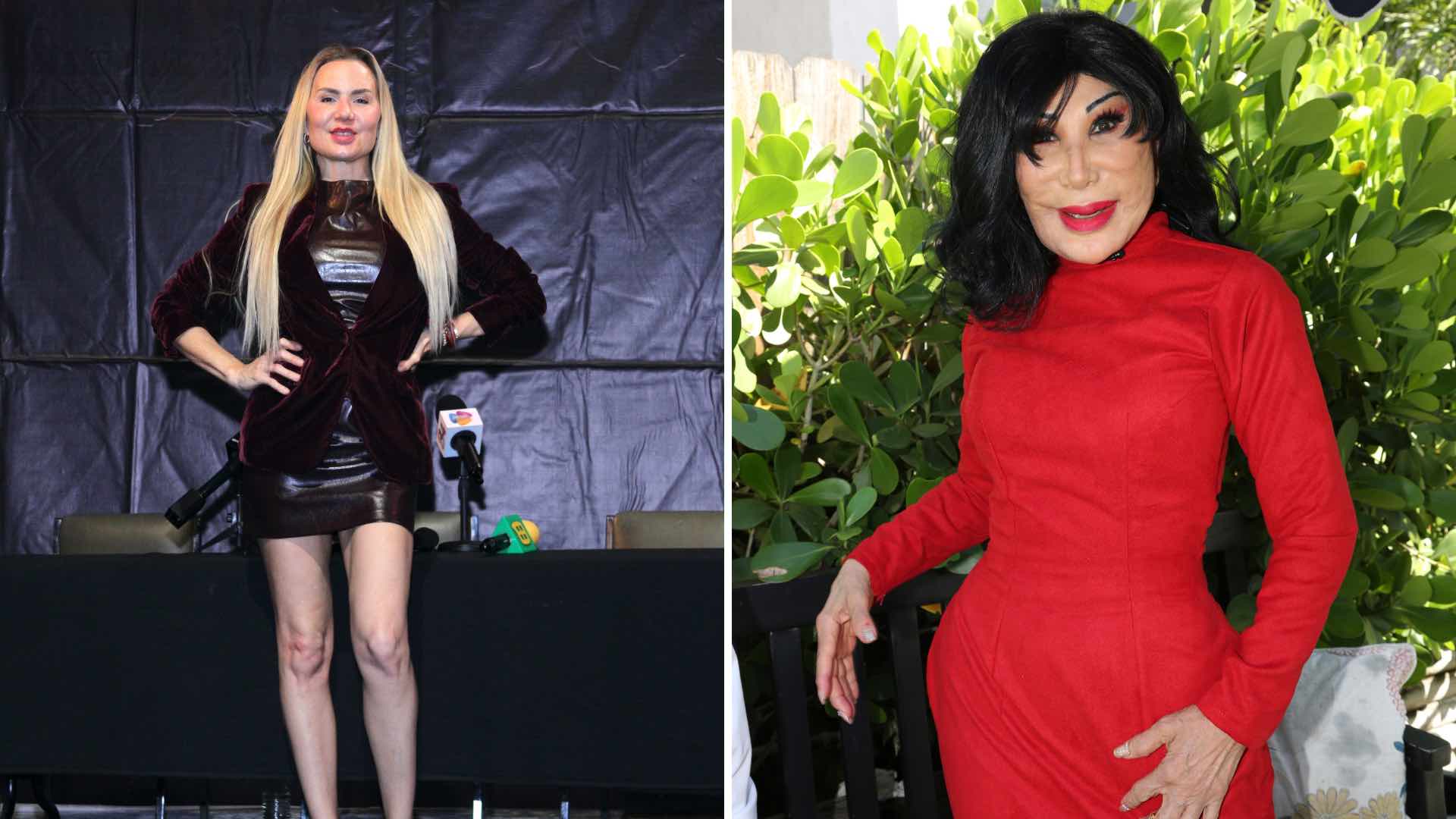 ¿Por qué compararon a Michelle Vieth con Lyn May?