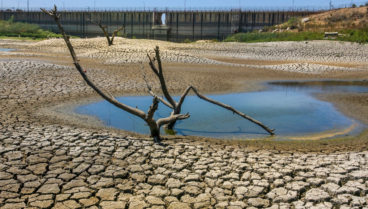 Sequía extrema en México: Emergencia por escasez de agua en 10 estados