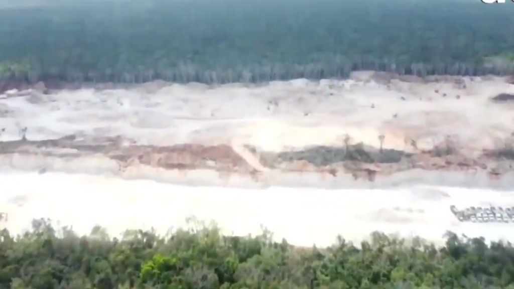 VIDEO: Construcción del tren maya y paso de camiones están destruyendo la selva: señalan expertos