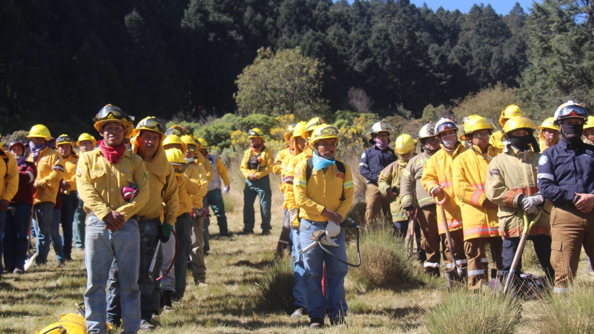 Realizan Probosque y Protección Civil de Edomex quema controlada