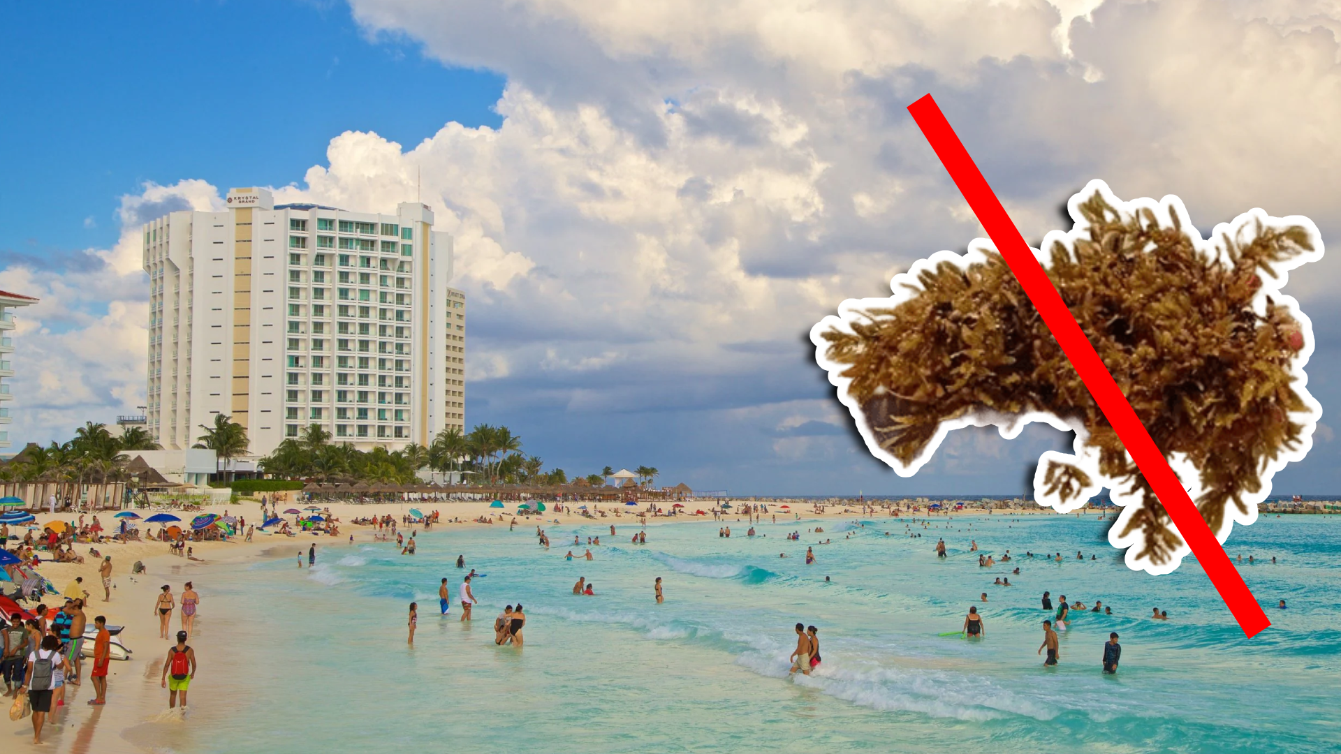 Playas sin sargazo en Quintana Roo hoy 31 de octubre de 2025 en Cancún ...