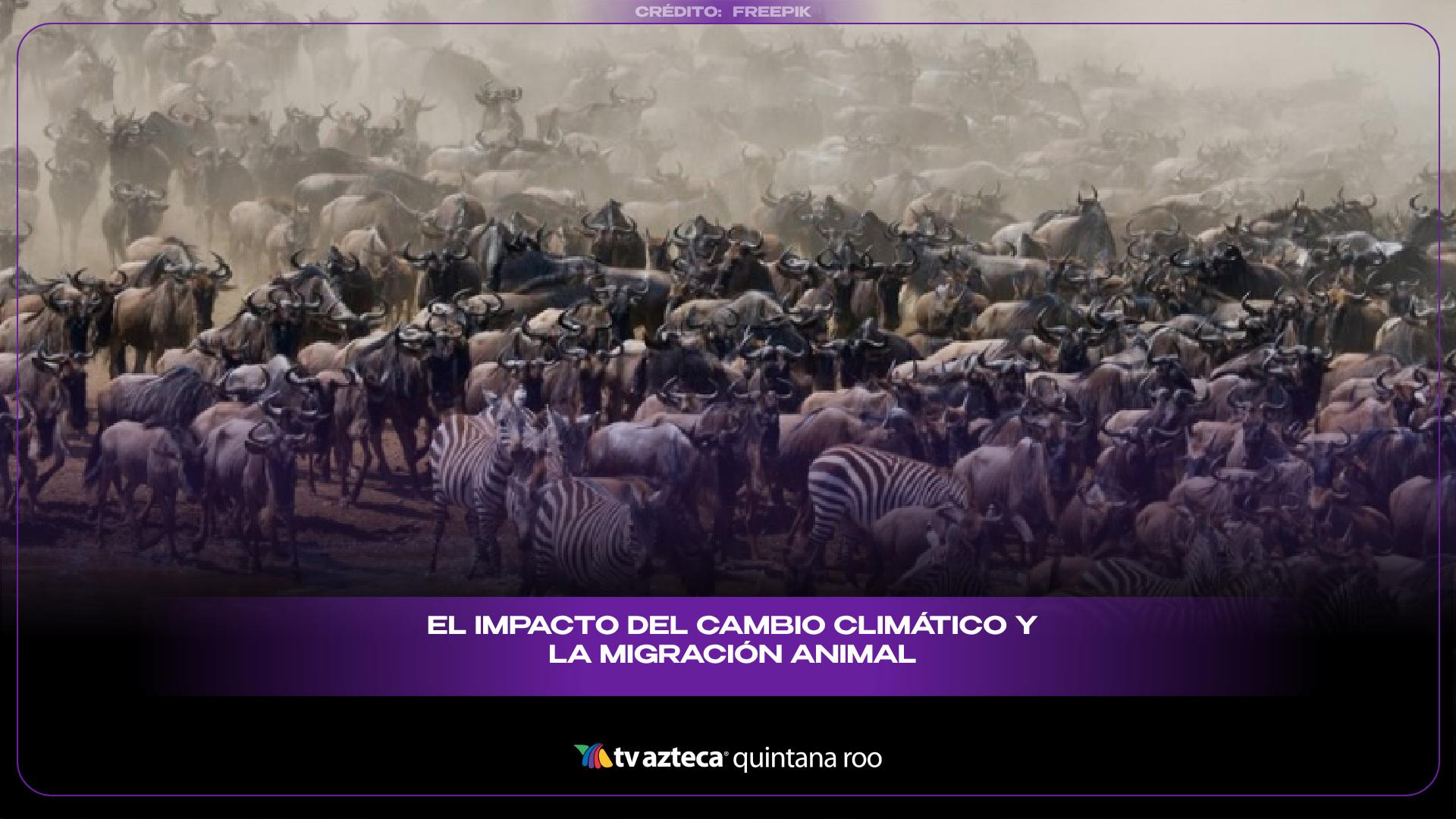 ¿El cambio climático transforma la migración animal?