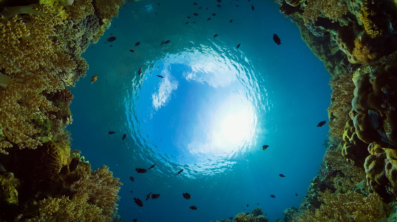 Confirman agujero azul en Chetumal; segundo más grande del mundo