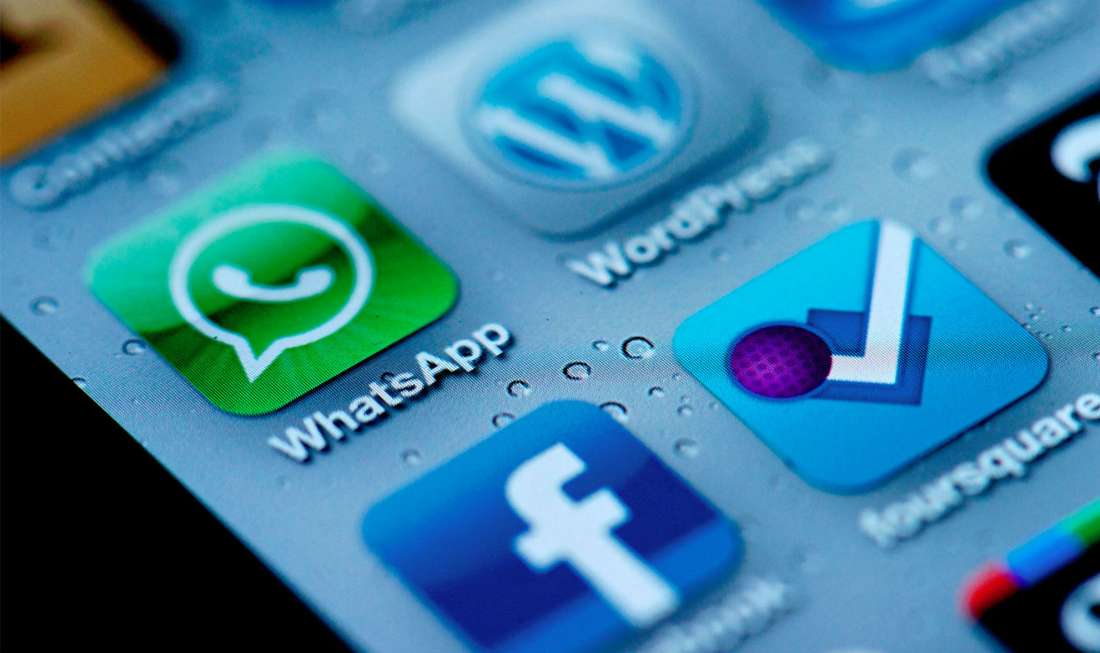 WhatsApp Plus, Facebook Plus e Instagram Plus llegan a México: precios ...