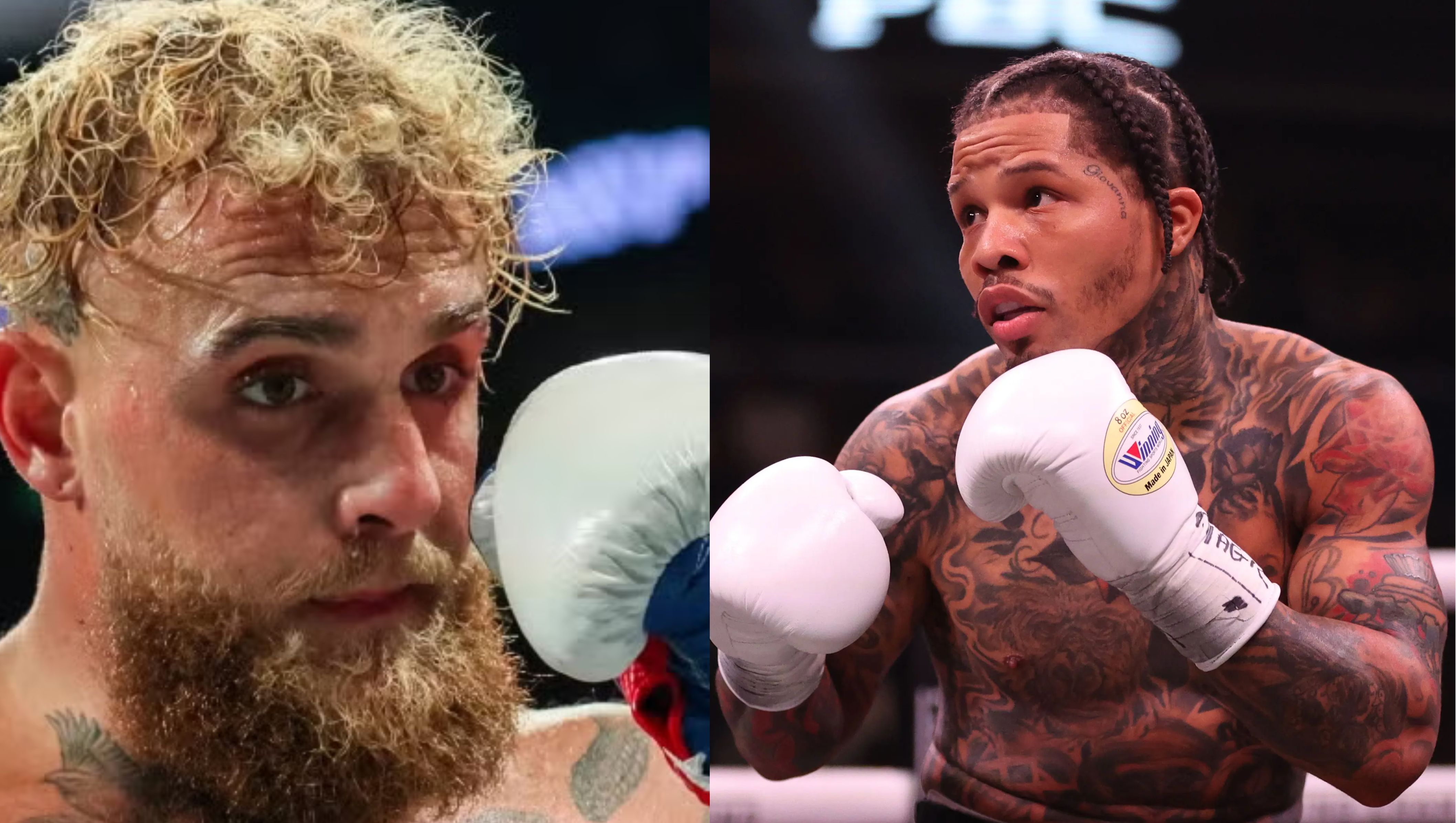 ¡ALERTA BOX AZTECA! Jake Paul se enfrentará a Gervonta Davis en ...
