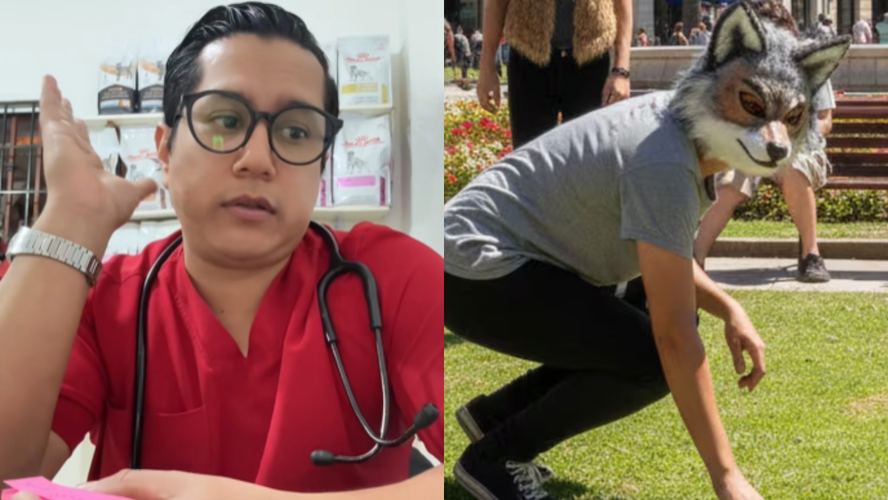 Veterinario de Tijuana se vuelve viral en TikTok tras contar que ...