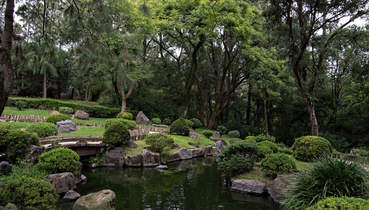 Jardín secreto de un bosque en Guadalajara ideal para meditar y ...