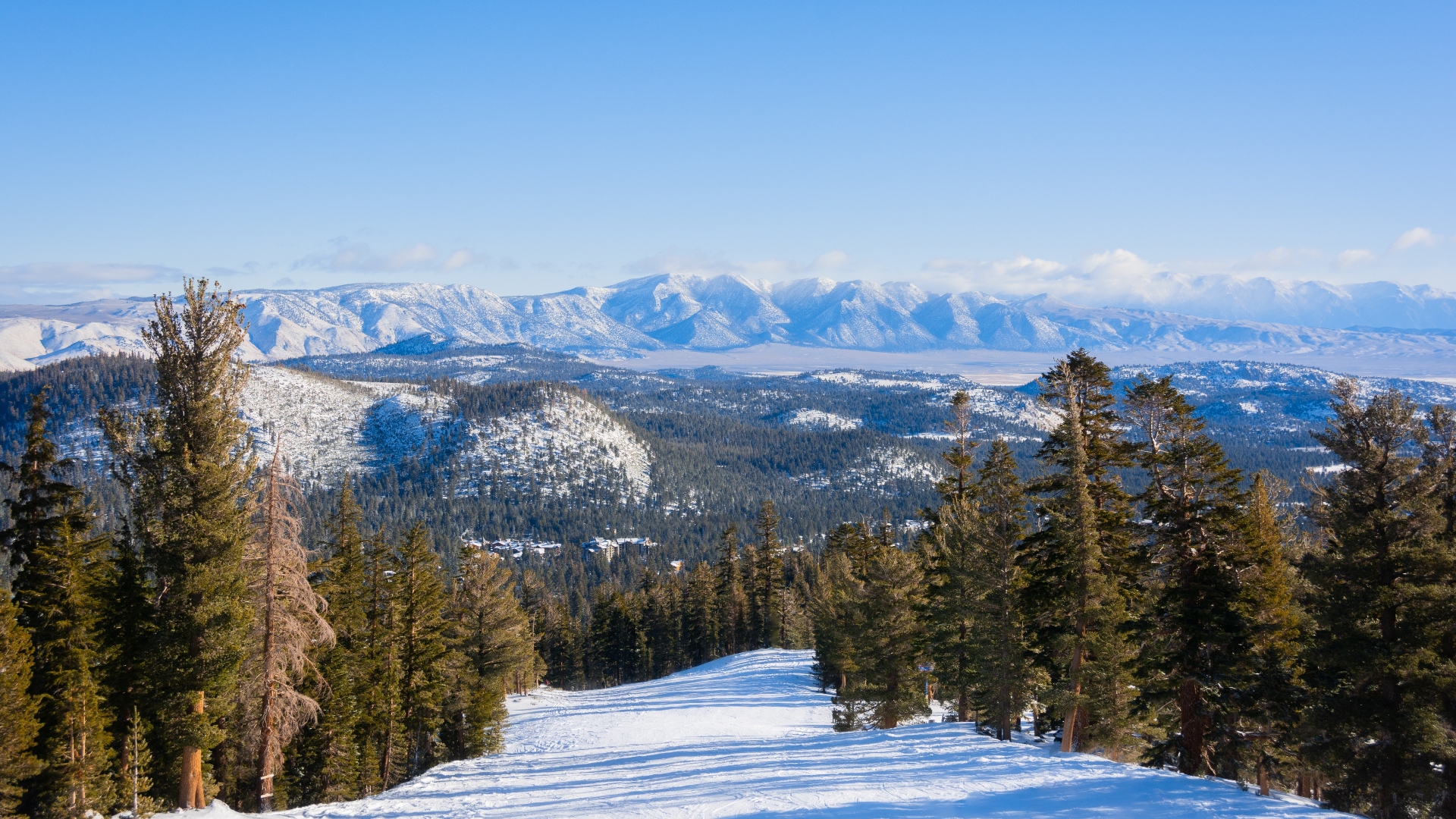 ¿Cómo es el clima de California durante enero?