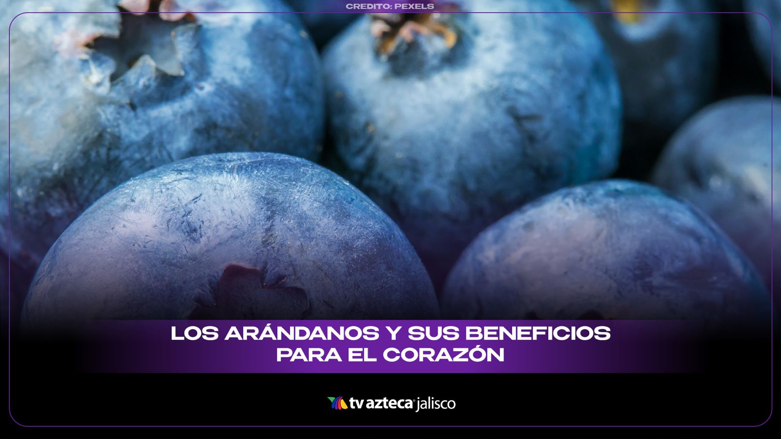 Esto dicen los estudios científicos sobre los beneficios de los ...