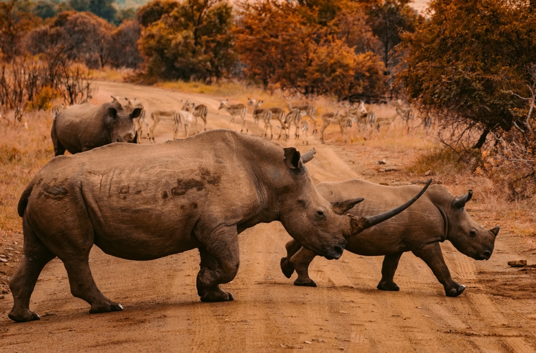 Efemérides del 18 de octubre: Qué pasó un día como hoy