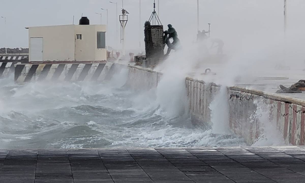 Norte en Veracruz, hoy 24 de enero 2025: ¿Cuál es la intensidad de las rachas?