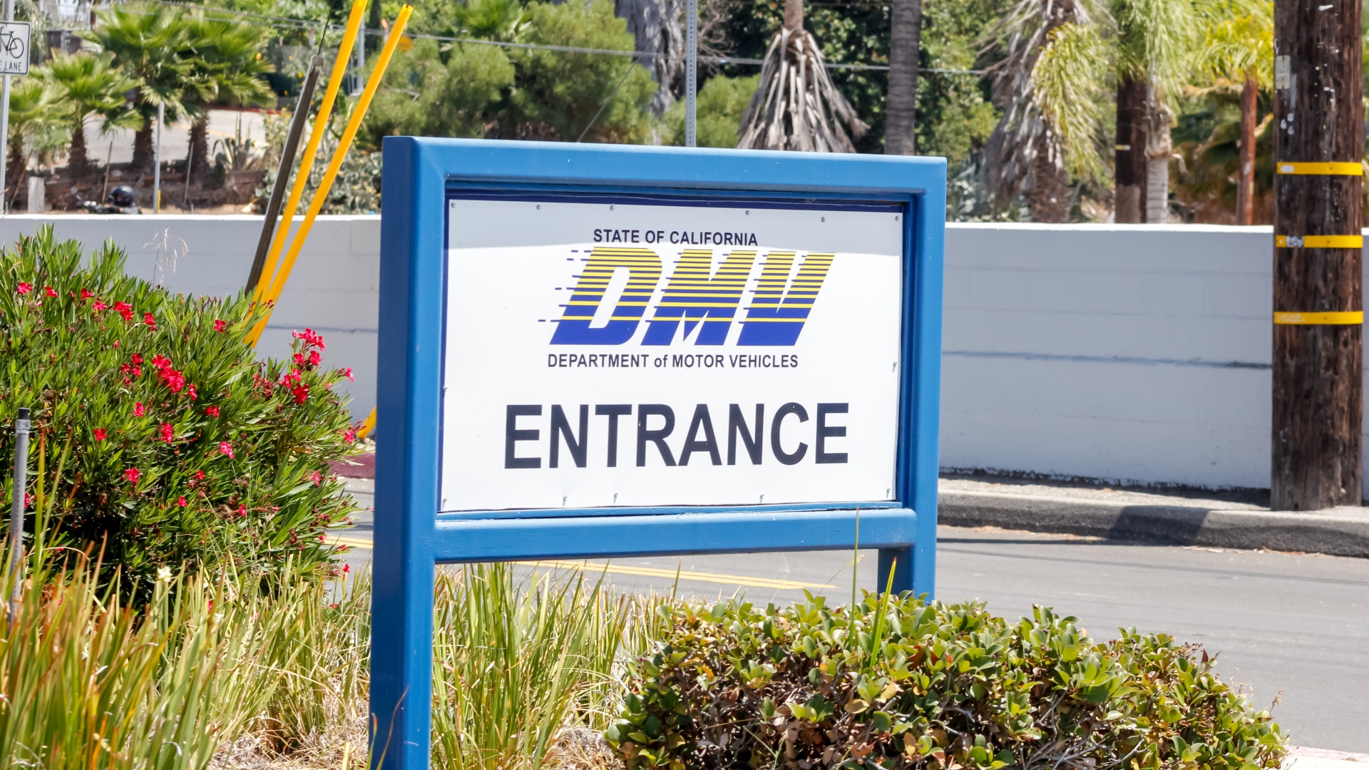 Advierte el DMV de California: si no haces un trámite antes de esta ...