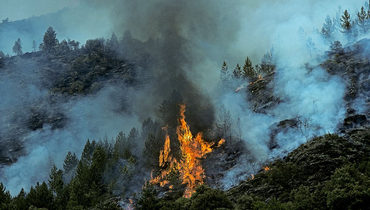 Bomberos controlan incendio en el Bosque de Tlalpan