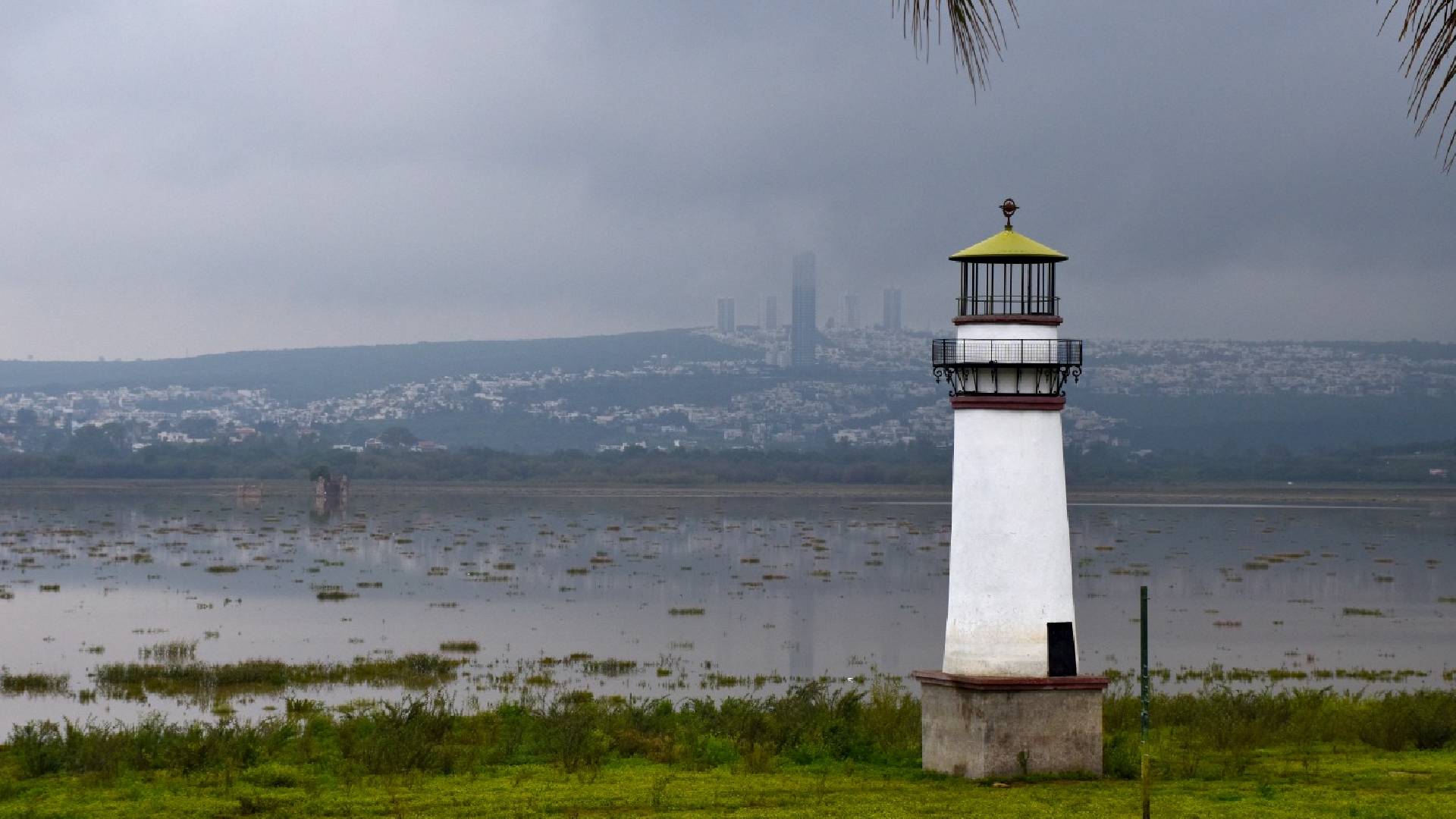 Nivel de la presa El Palote hoy 1 de agosto 2024 León, Guanajuato