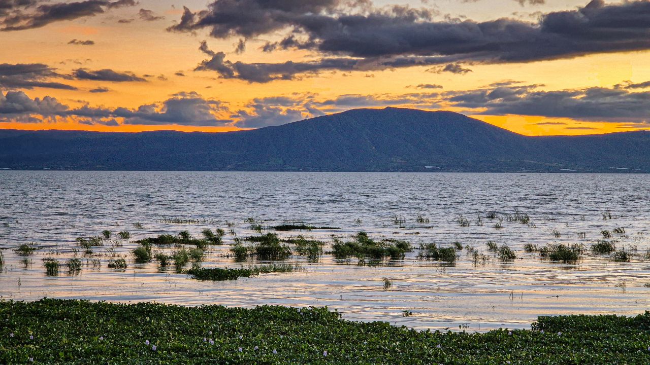 Nivel Lago de Chapala HOY 26 de agosto: Muestra una gran recuperación ...