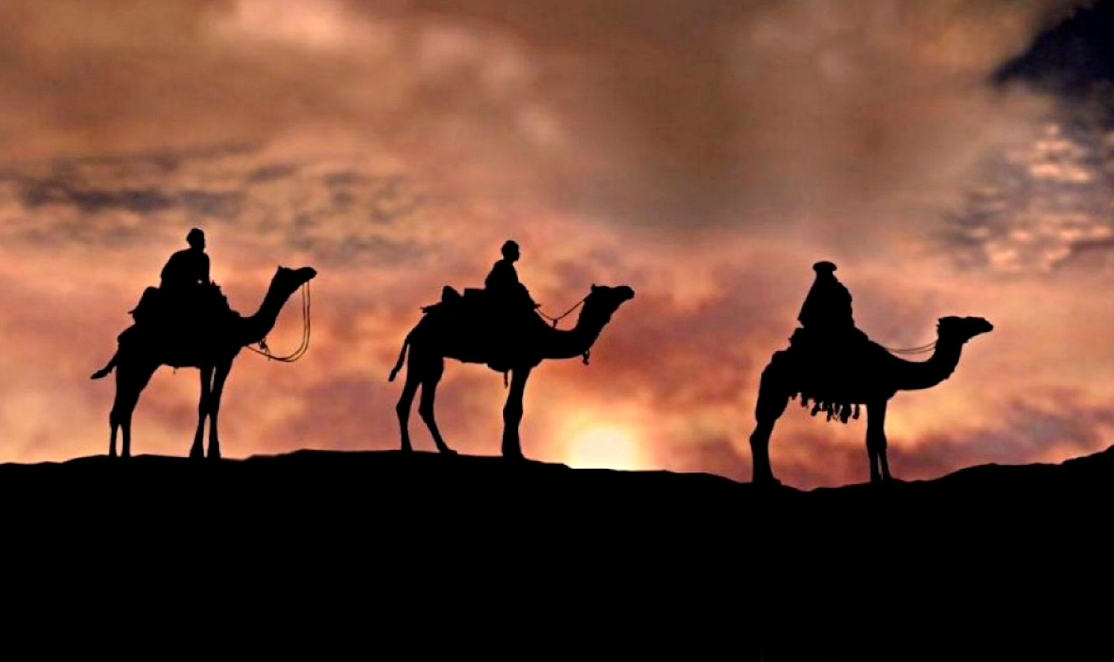 Anuncia Guanajuato capital fecha en que será la Cabalgata de los Reyes ...