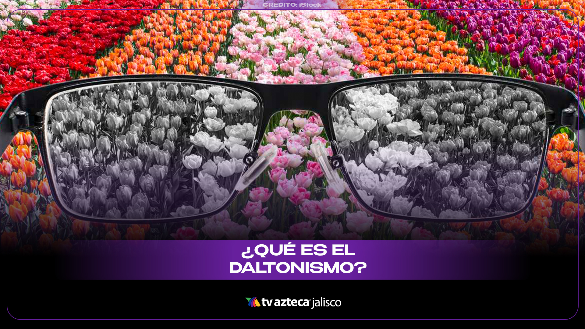 Día de Concienciación sobre el Daltonismo: qué es, cuáles son los síntomas y cómo saber si lo ...