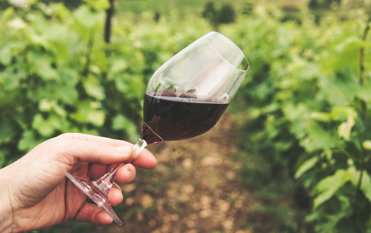 Cepa 21 y Malabrigo, los vinos que debes conocer este 2023