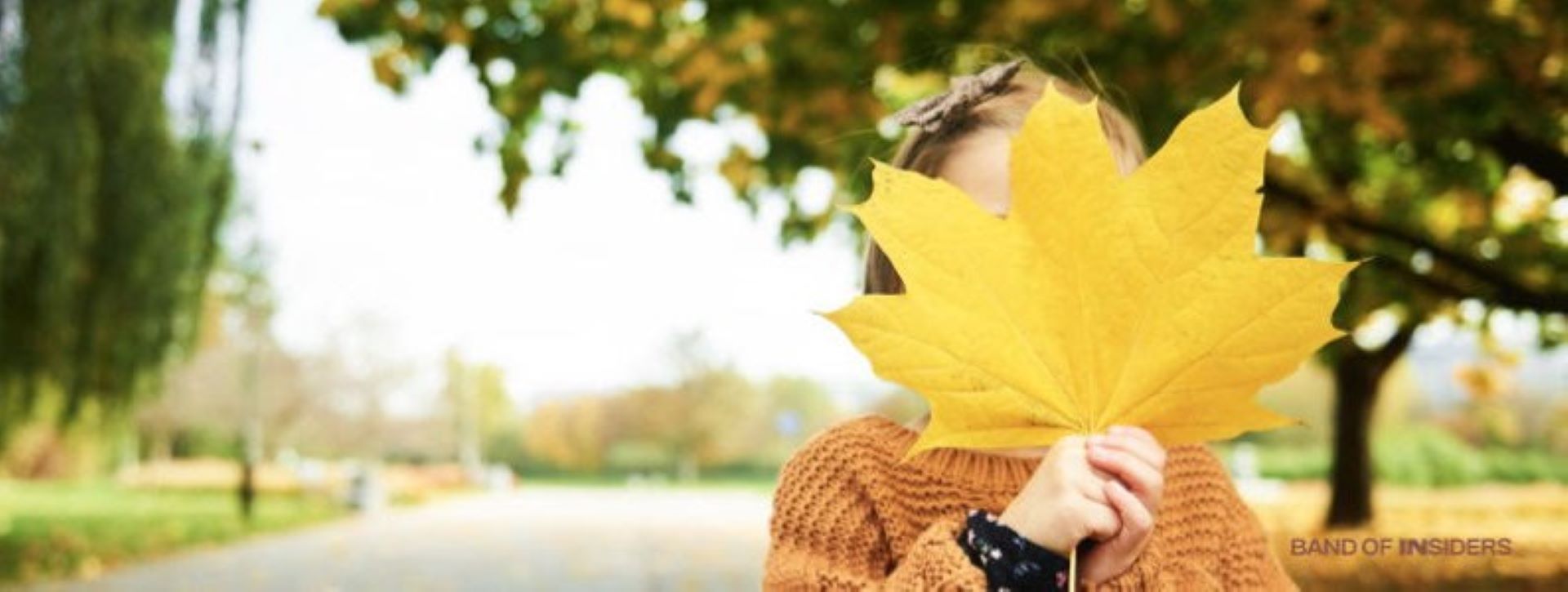 El otoño ya llegó con estornudos incluidos