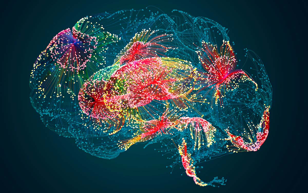 Ni la creatividad está a la derecha ni la lógica a la izquierda: el ...