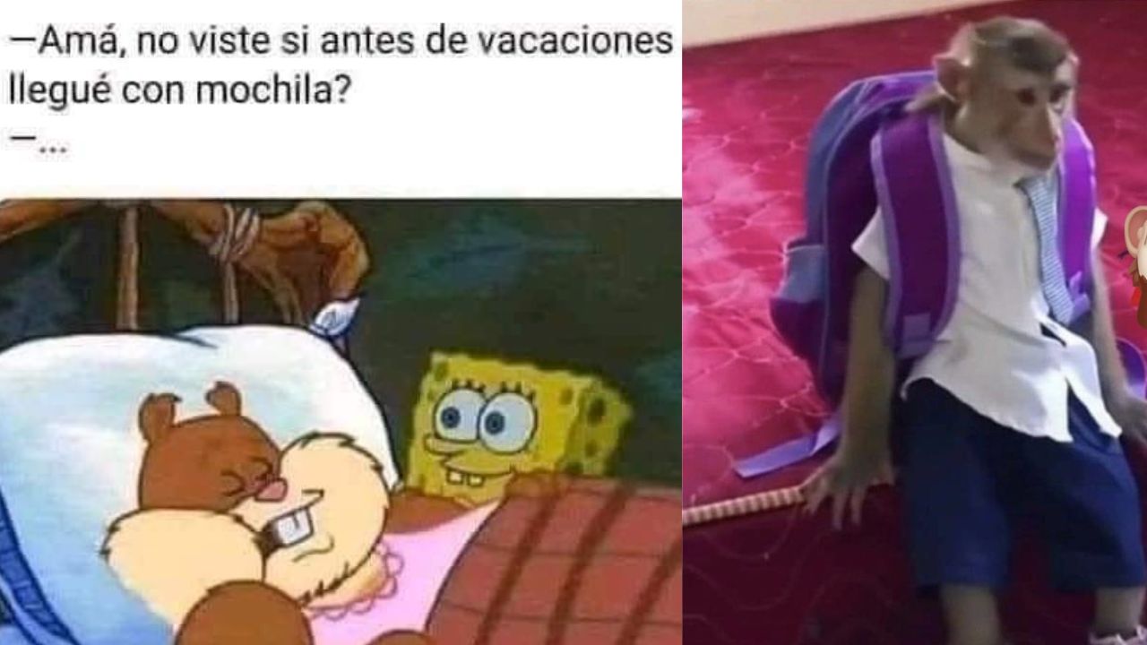 Los mejores memes del regreso a clases en este Ciclo Escolar 2024- 2025 ...