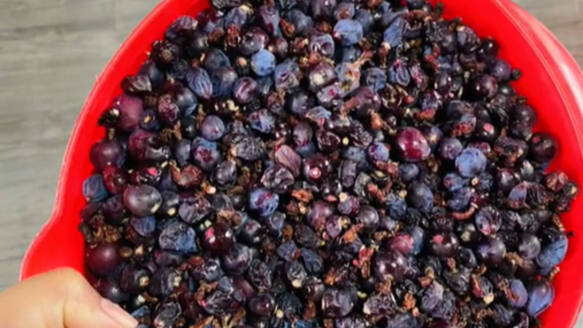 ¿Qué son los garambullos? Estos son los frutos típicos en Querétaro
