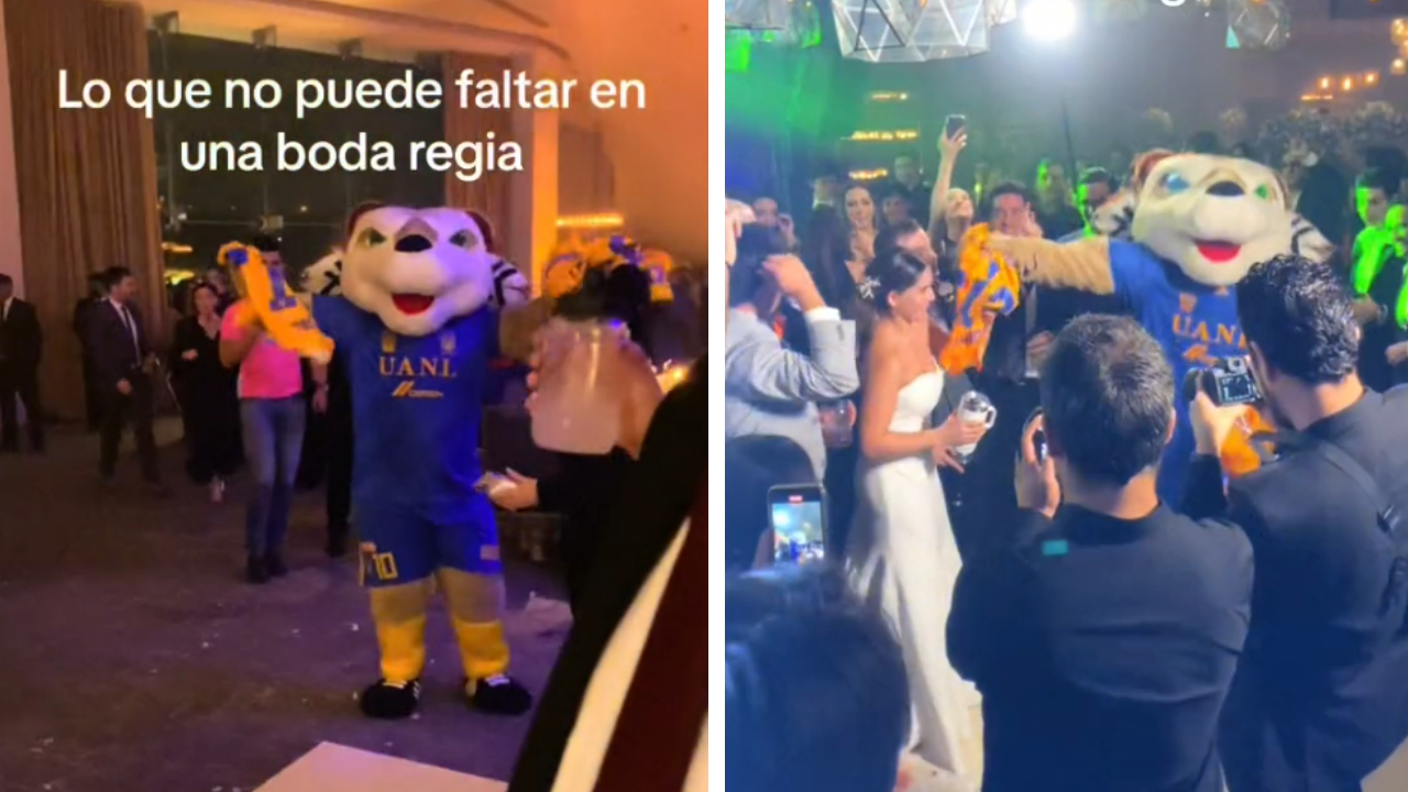 Boda regia se viraliza por tener a la botarga de los Tigres animando ...