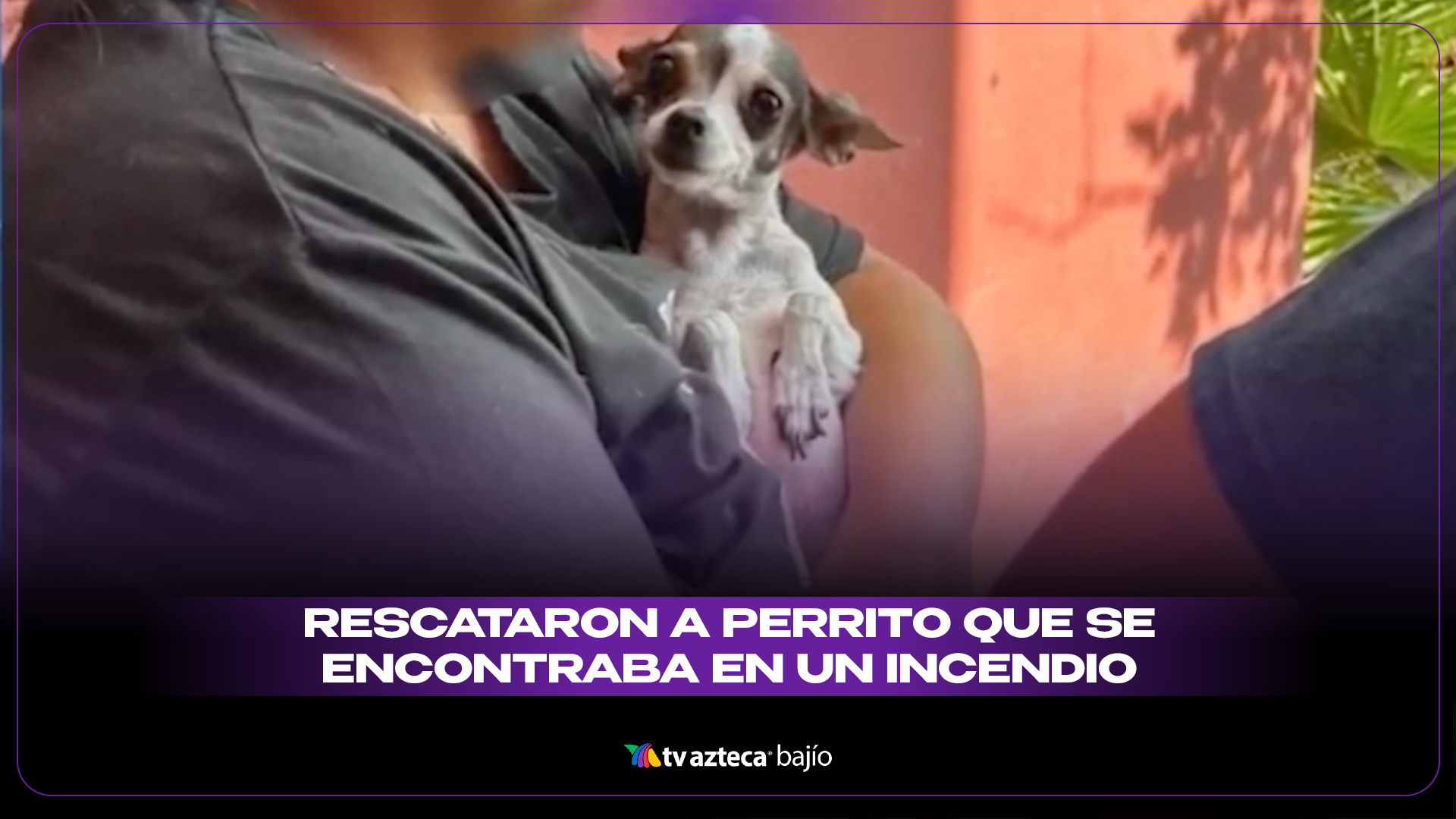 Rescate perrito incendio Apaseo el Grande: Bomberos salvan can en La ...