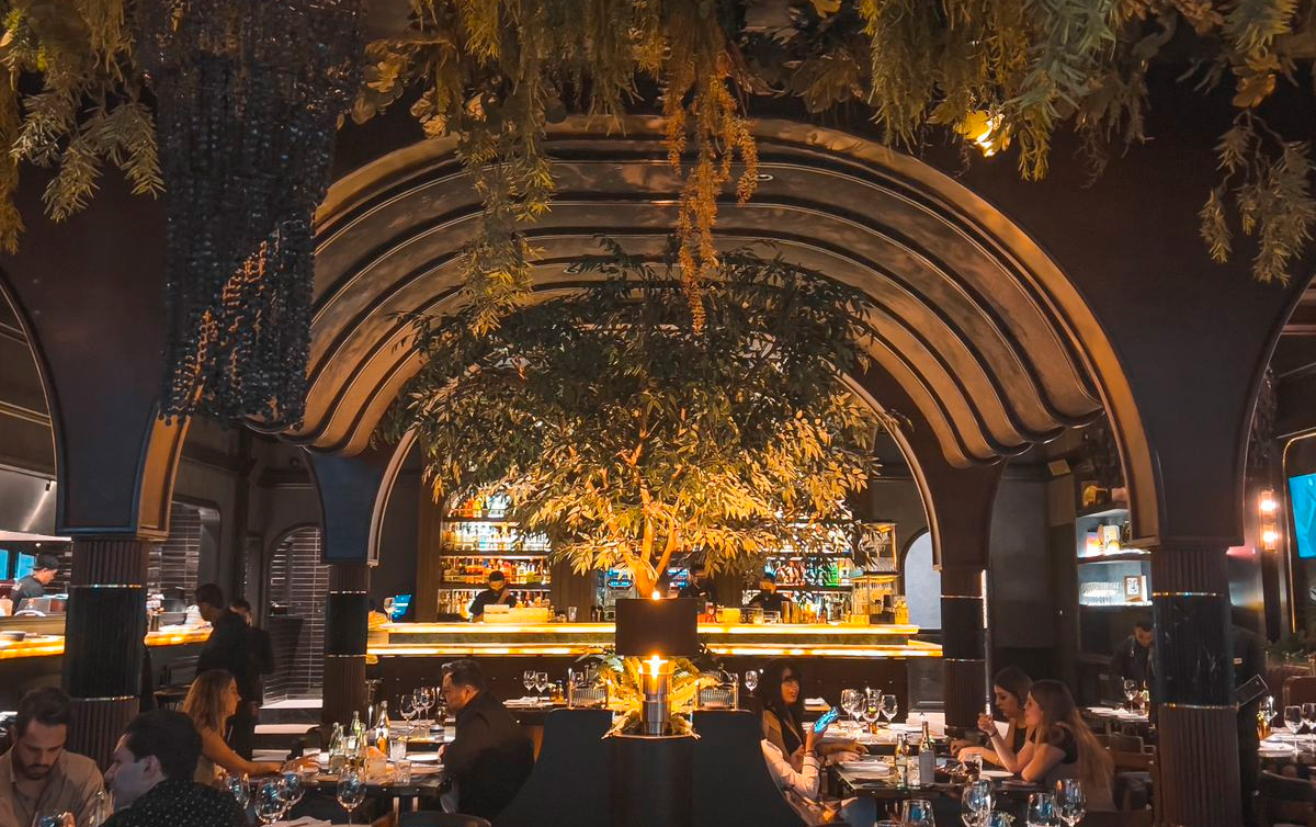 Reseña del restaurante Colmillo en Plaza Artz