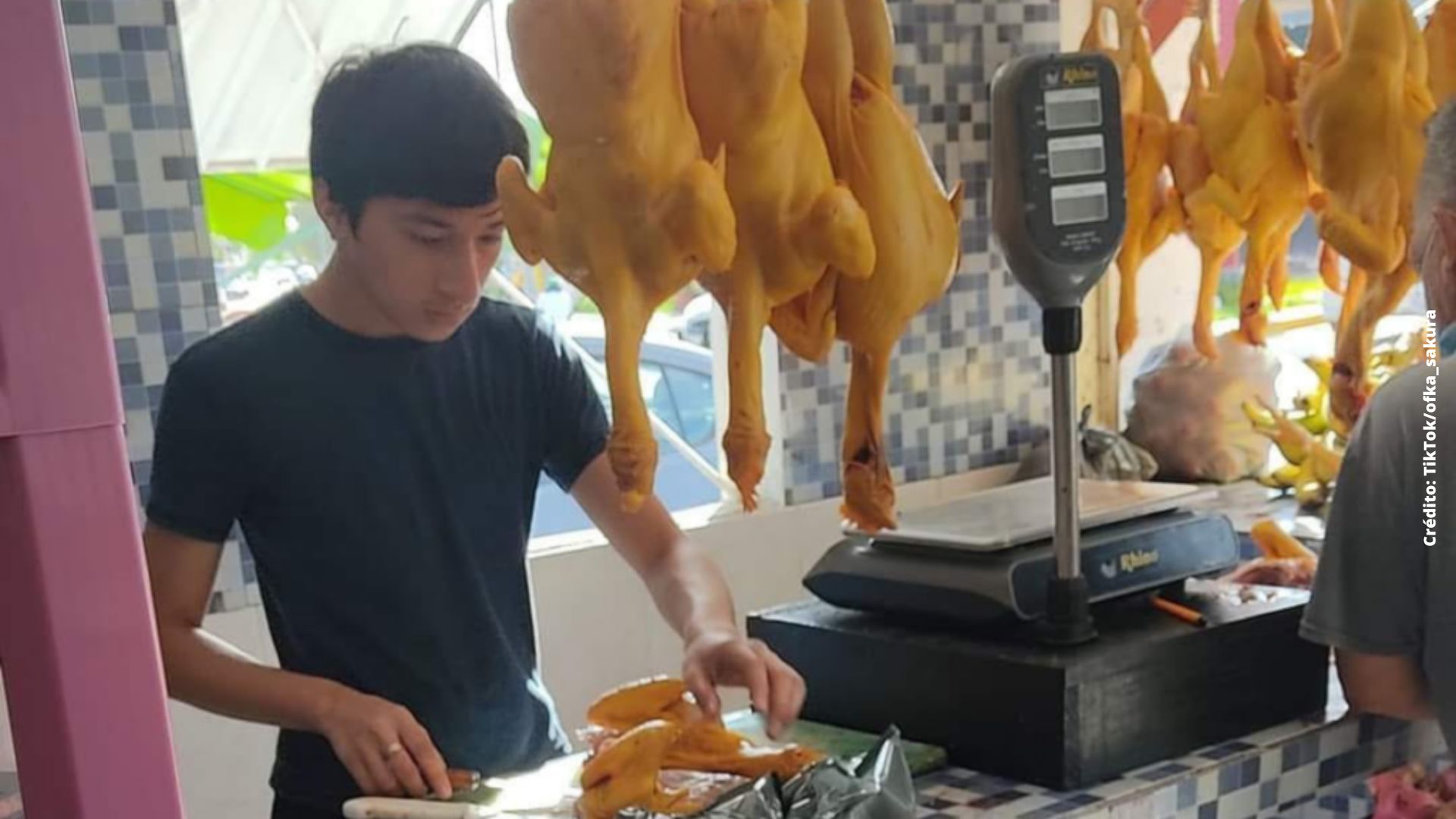 Pollería de la CDMX ofrece novedoso curso de verano.