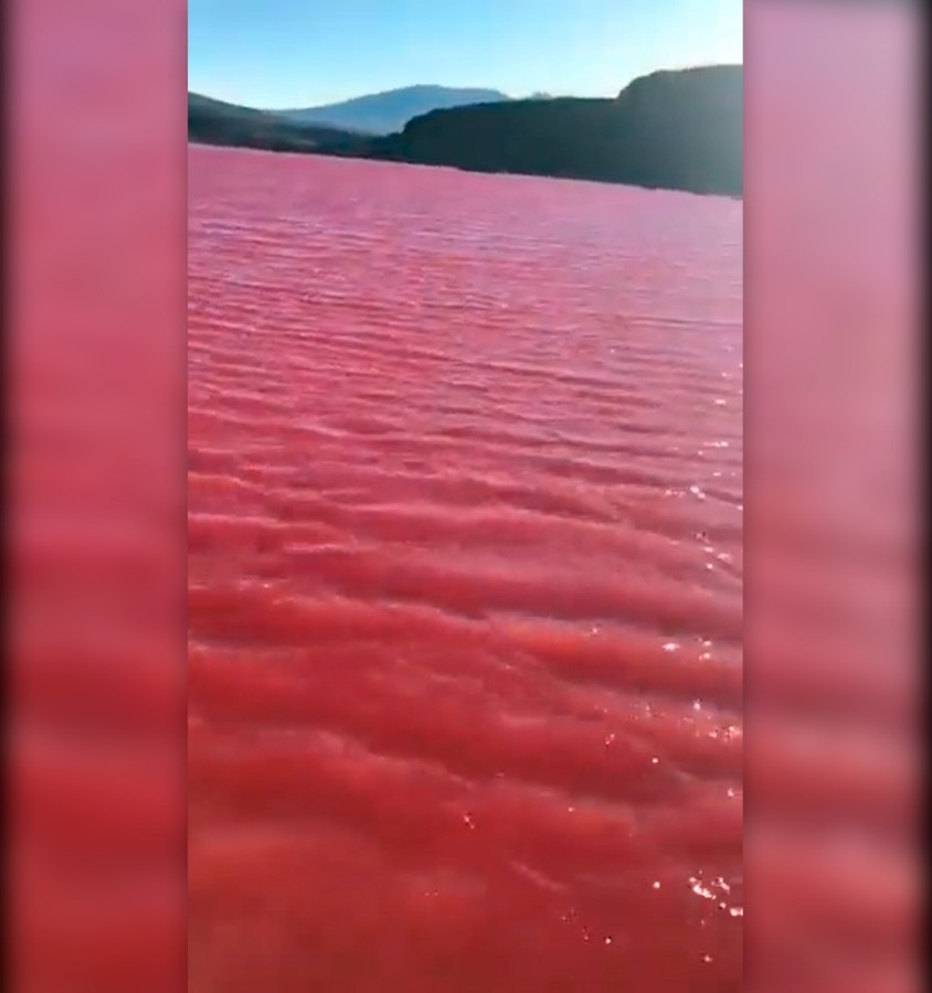 VIDEO: Río Nilo se tiñe de rojo