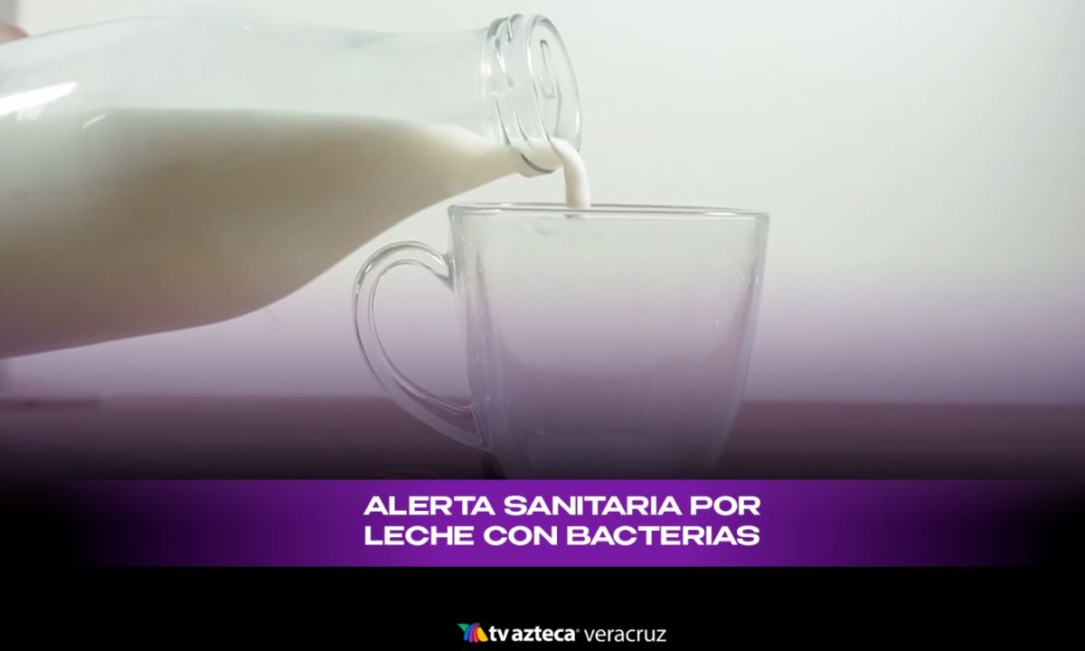 Alerta sanitaria por leche contaminada: detectan bacterias en fórmula ...