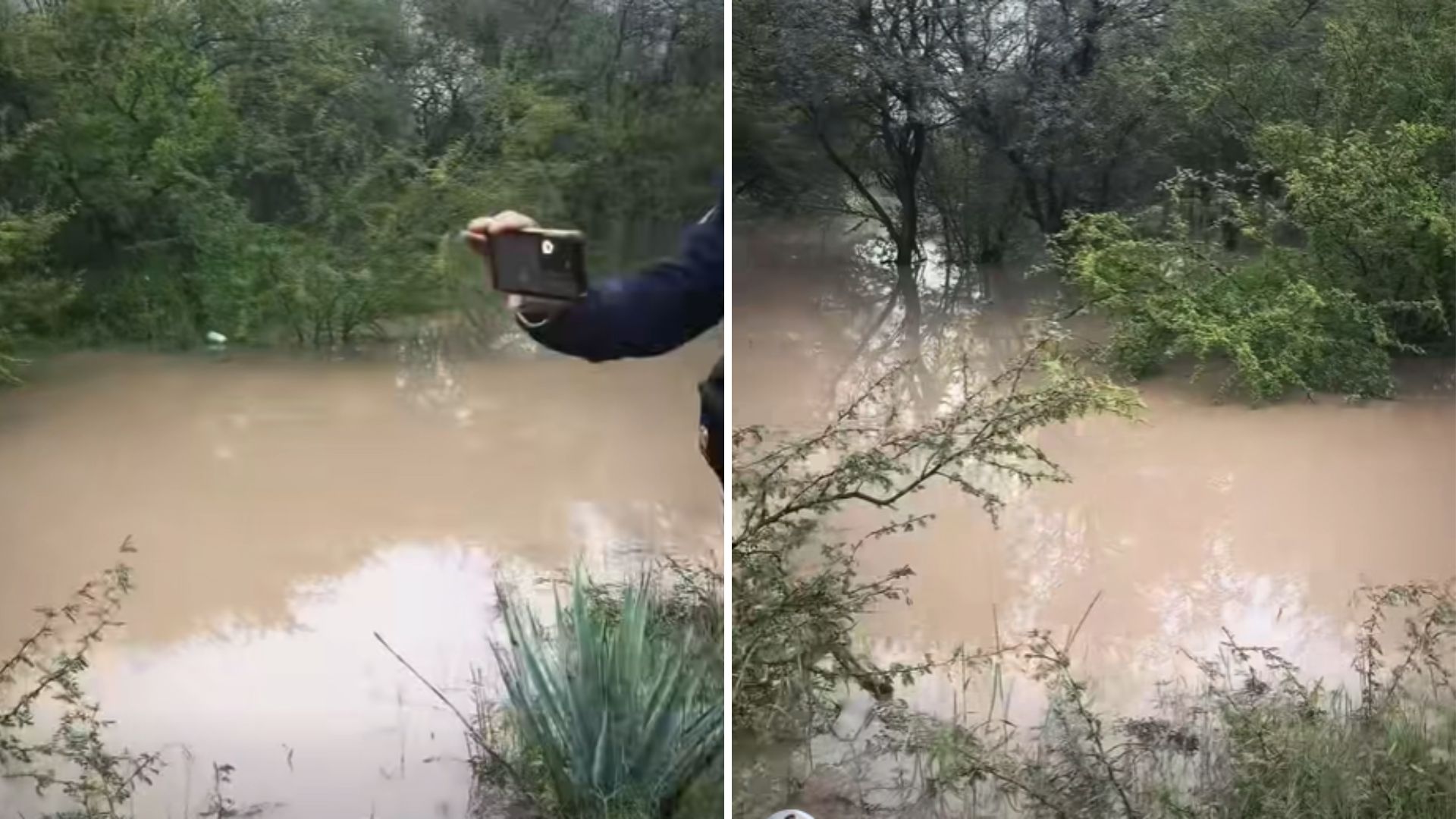 Río Turbio en Abasolo, Gto: ¿Qué zonas están en riesgo por las lluvias?