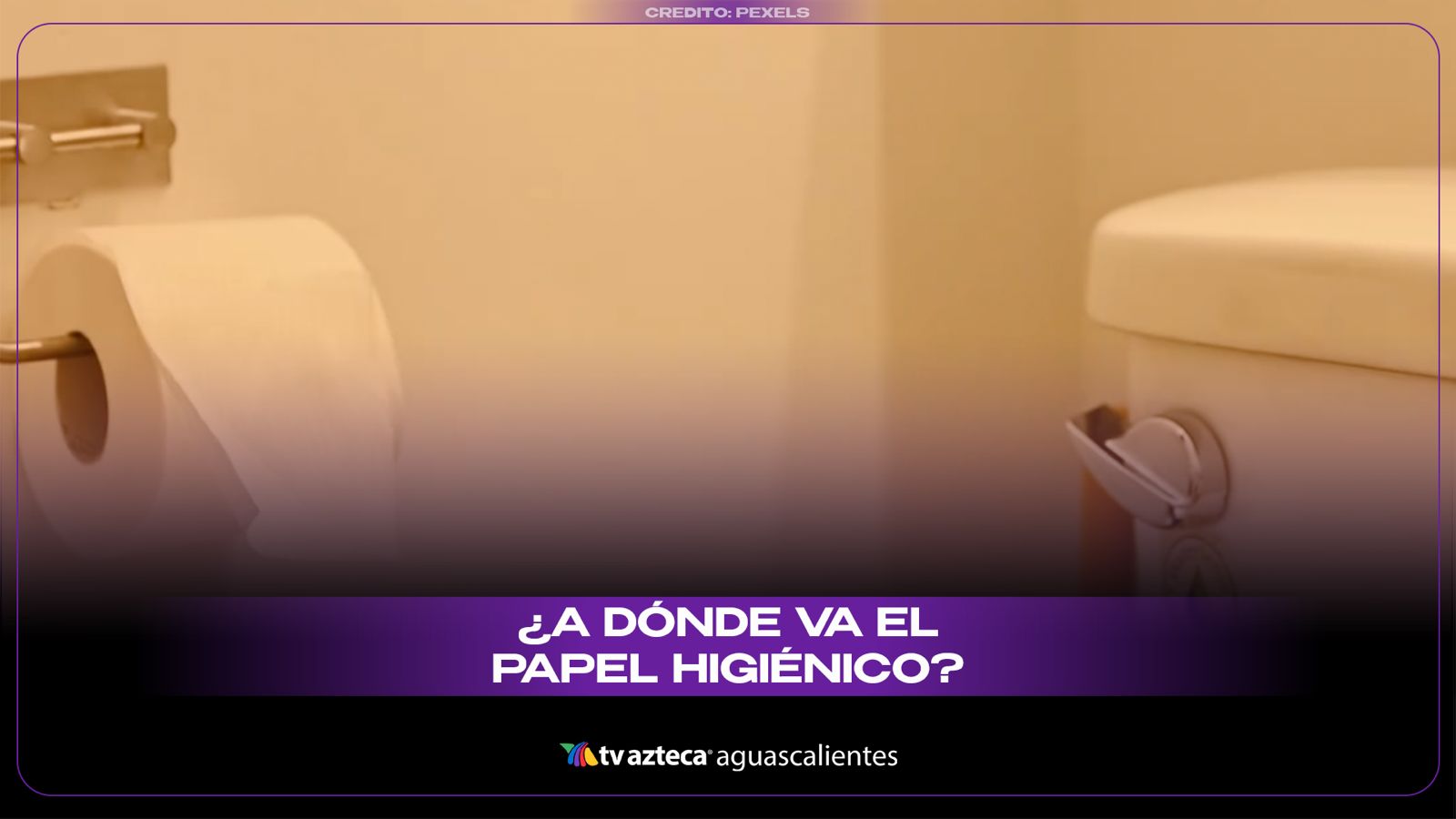 ¿A dónde se va el papel higiénico? La verdad detrás de tirarlo al inodoro