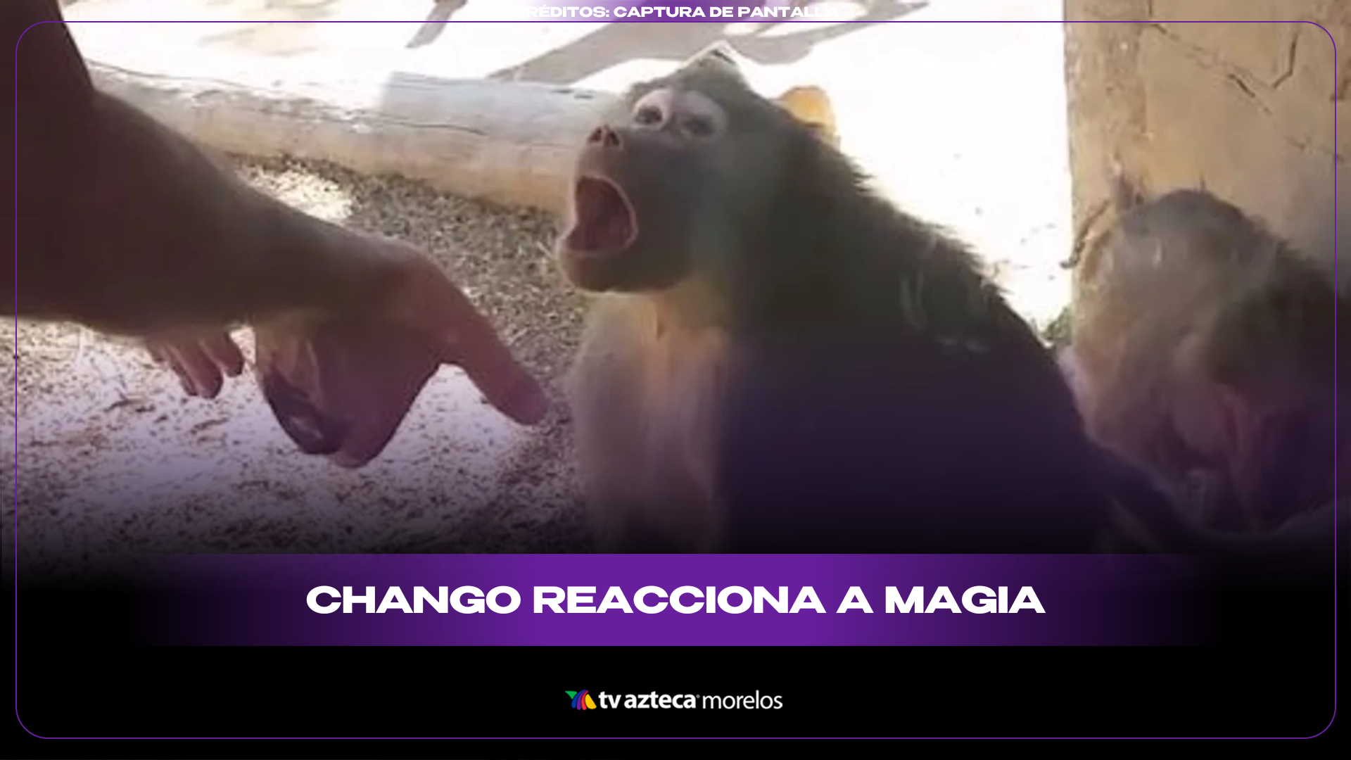 Changuito así reaccionó ante un acto de magia
