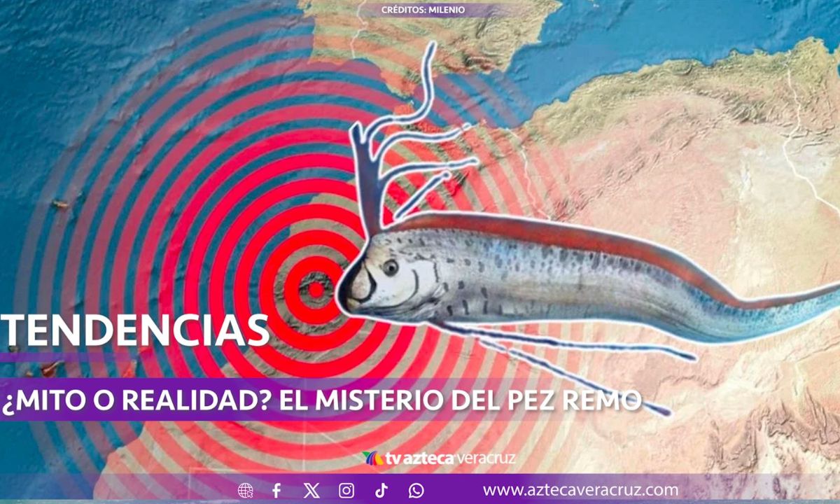 ¿Por qué se relaciona el pez remo con los terremotos?