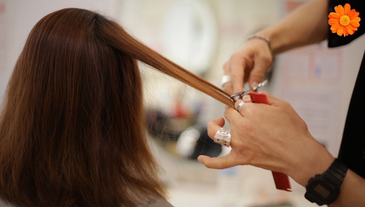 Este es el corte de cabello que regresa con una versión soft en esta ...