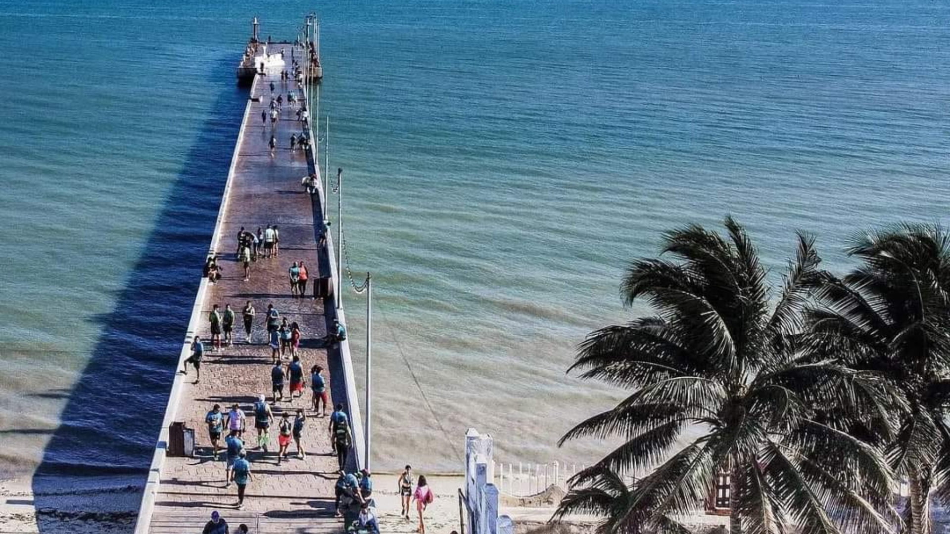 Playas cerca de Mérida: ¿Cómo llegar a Chicxulub Puerto, dónde hay un ...