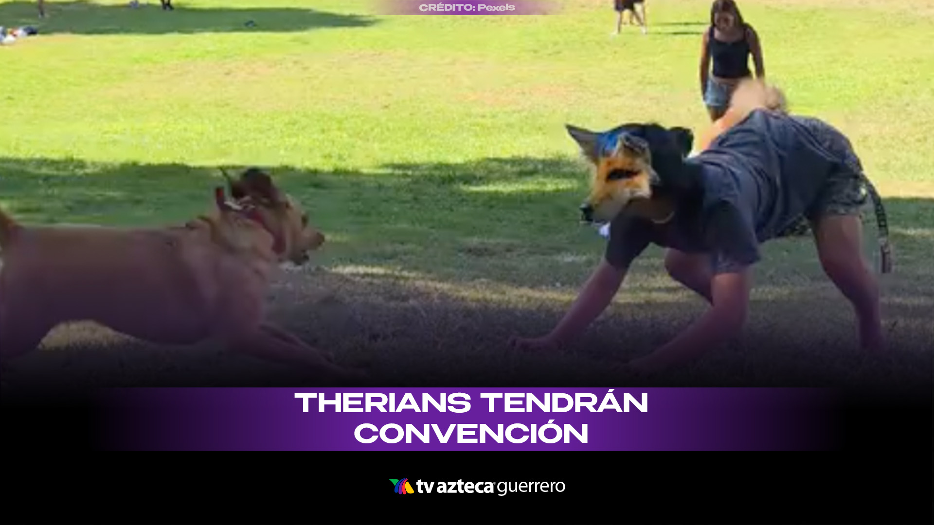 Therians hacen llamado a través de redes sociales para reunirse