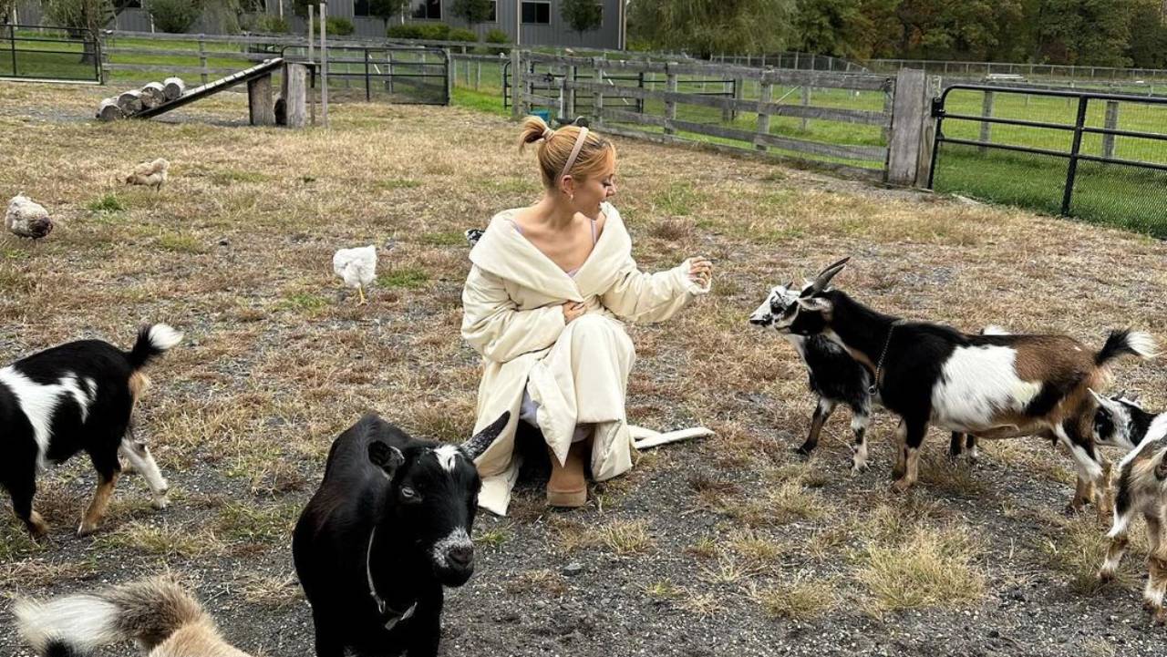 Ariana Grande confirma trabajo en su séptimo álbum: ¡ag7: Goat Mother