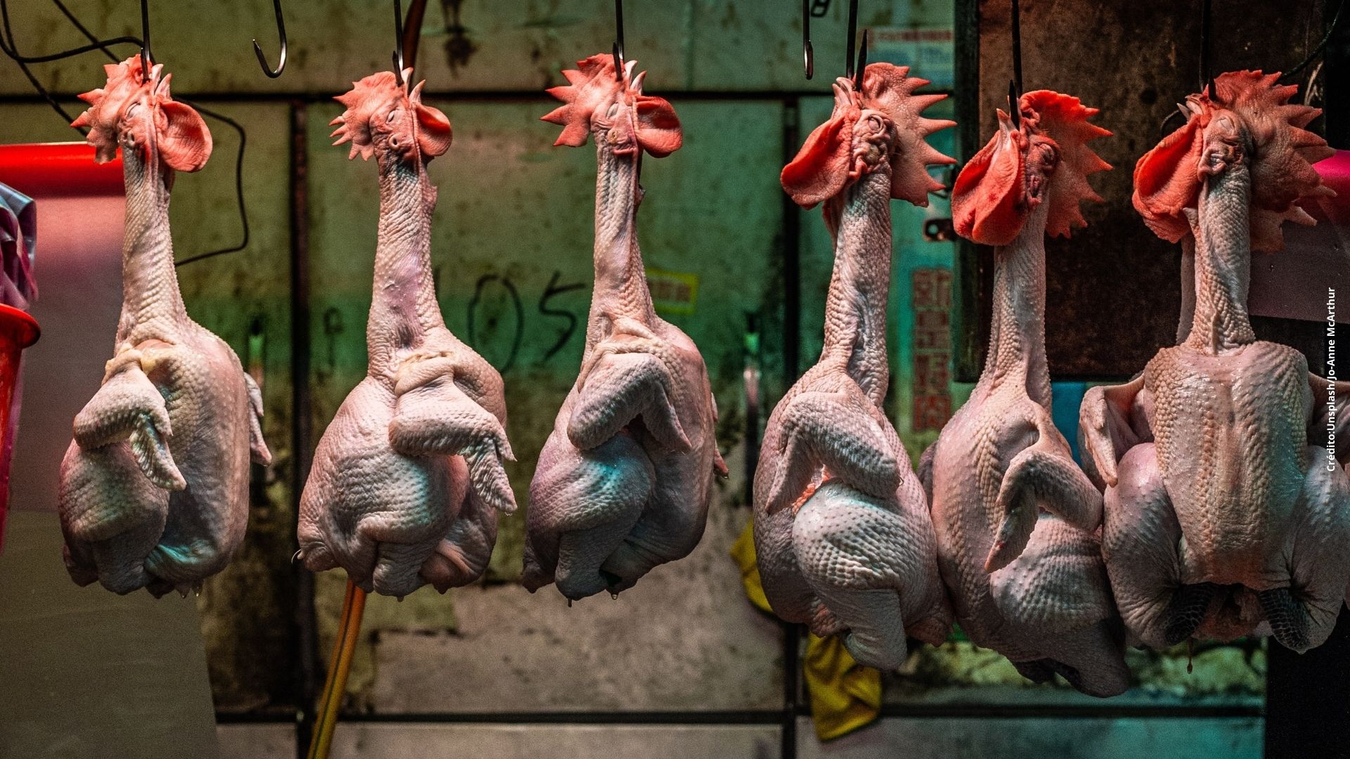 ¿Lavar el pollo puede ser peligroso a la salud?