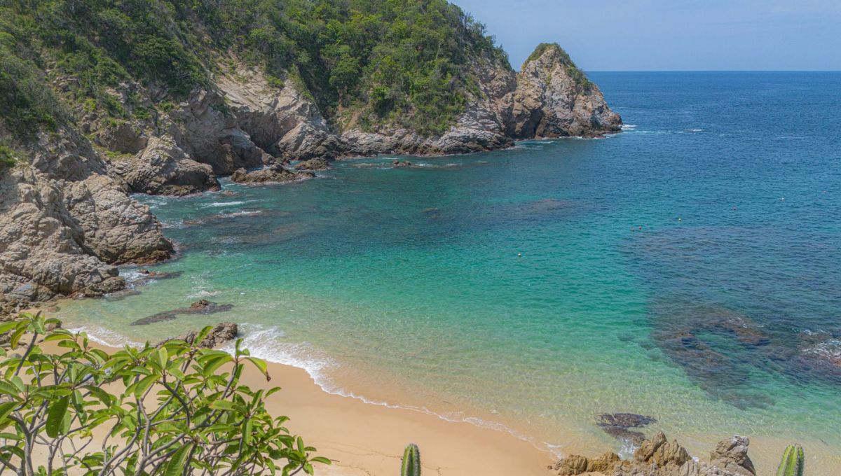 Cuál es la playa que pocos conocen en Oaxaca y es el paraíso perfecto ...