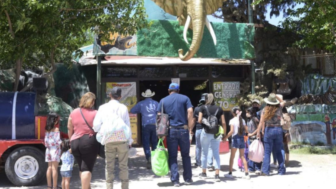 Elecciones 2024 en Chihuahua: El Zoológico de Chihuahua abre sus ...