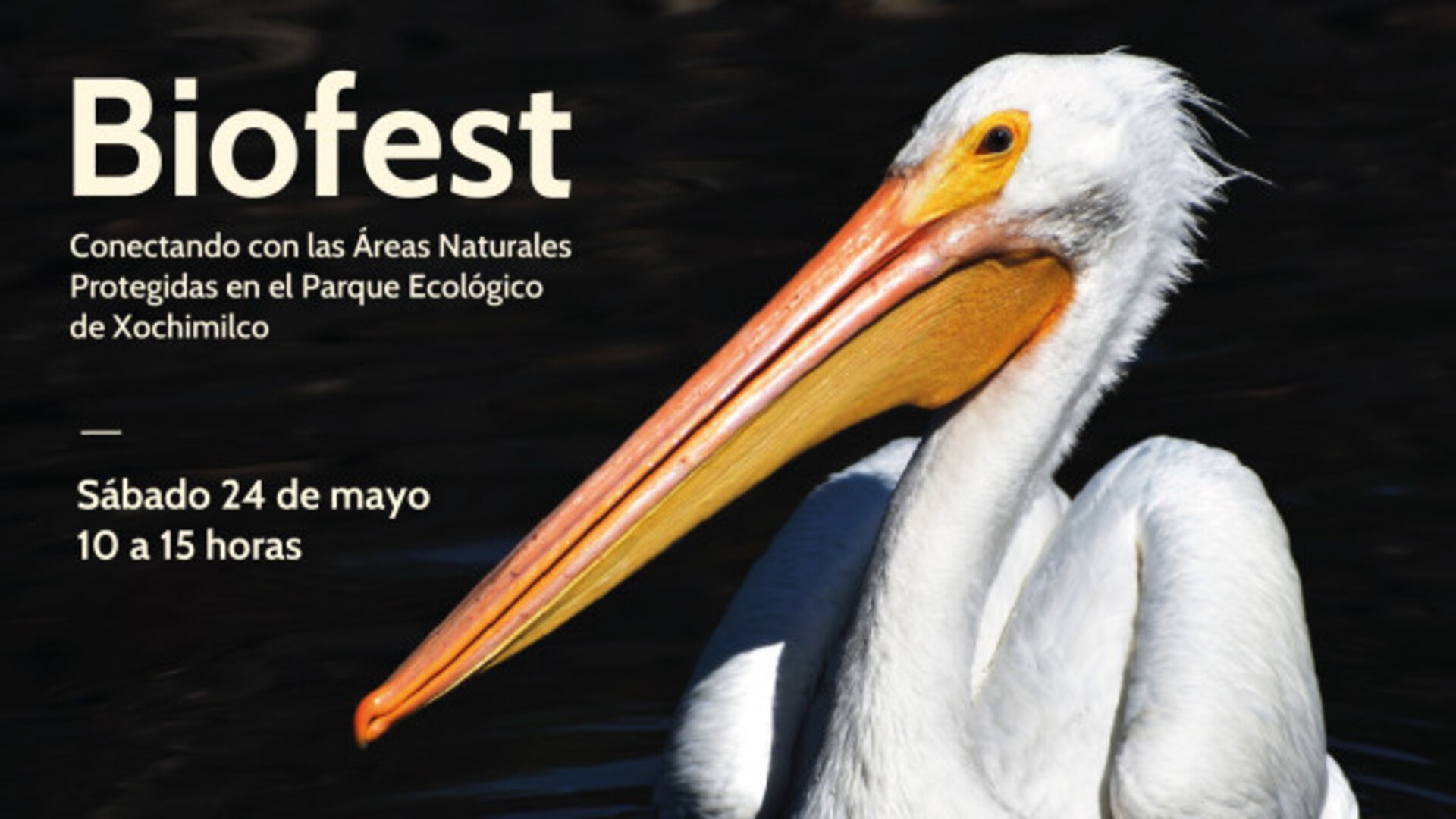 Celebran a la biodiversidad con el “BioFest" en Xochimilco